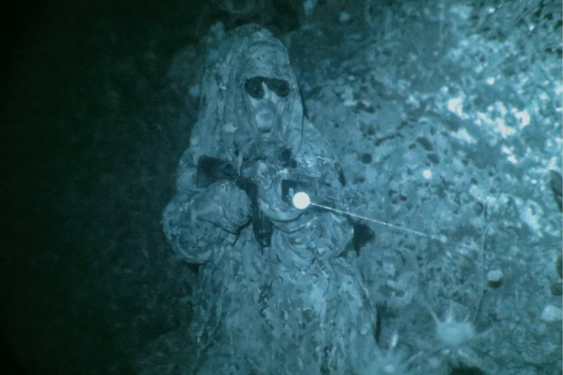 RECONDOR - Multispectral Full-body Poncho | Produkt